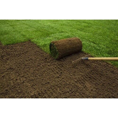 Kentucky Blue Grass SOD 21" x 42" #9901 | Ohio Mulch